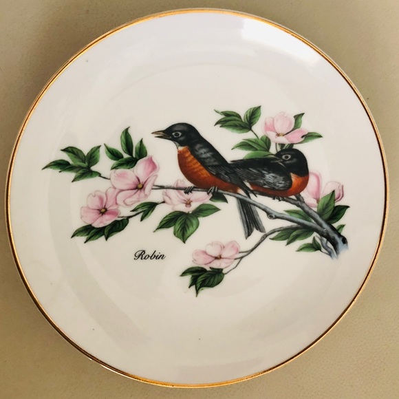 Robin John James | Accents | John James Audubon Robin 986 Plate Vintage ...